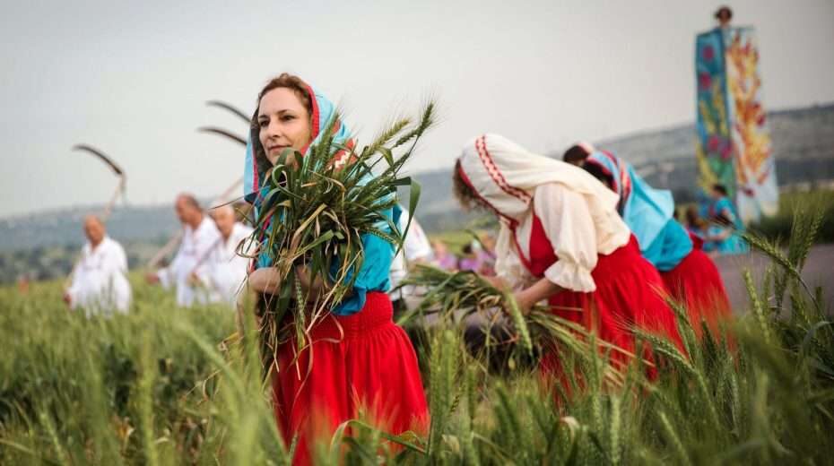 De boekrol van Ruth – Israel Today Nederland